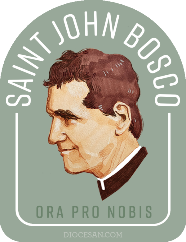 Saint Stickers – Variety Pack – Diocesan
